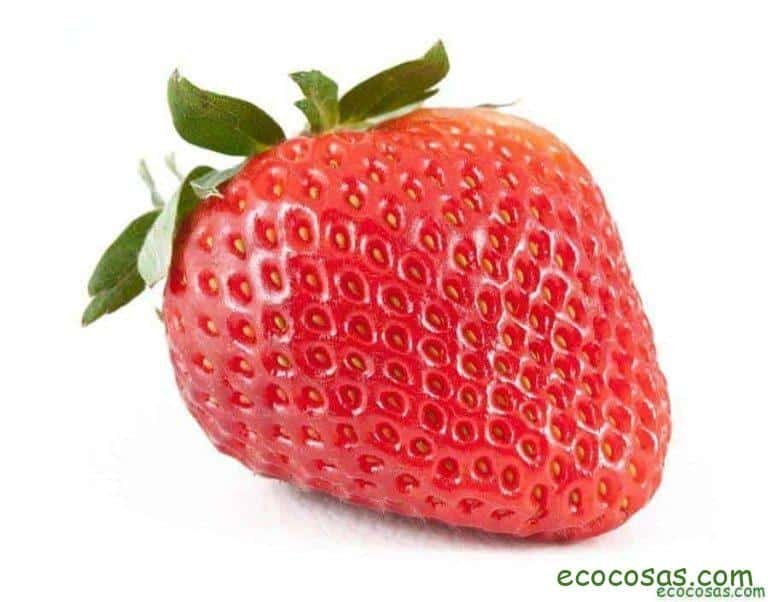 Propiedades de las fresas y sus 7 beneficios para la salud