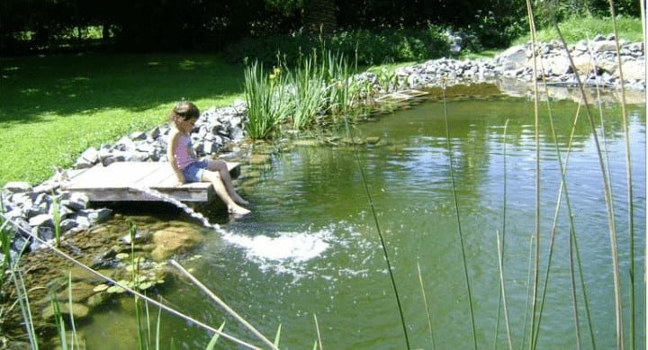Biopiscinas, piscinas ecológicas y sostenibles - Ecocosas