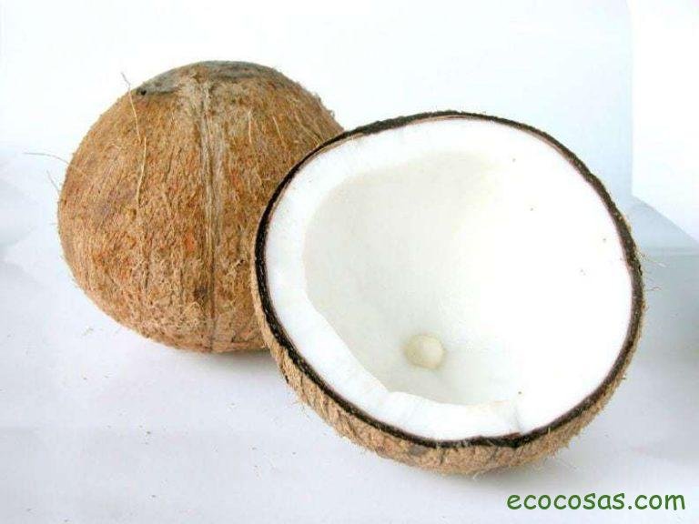 Aceite de coco. Propiedades, 100 beneficios y para qué sirve