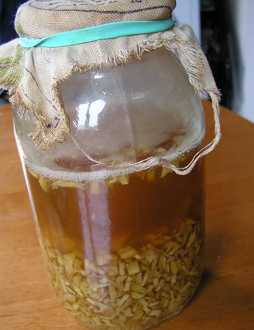 Cómo fermentar Jengibre para poder hacer bebidas. - Ecocosas