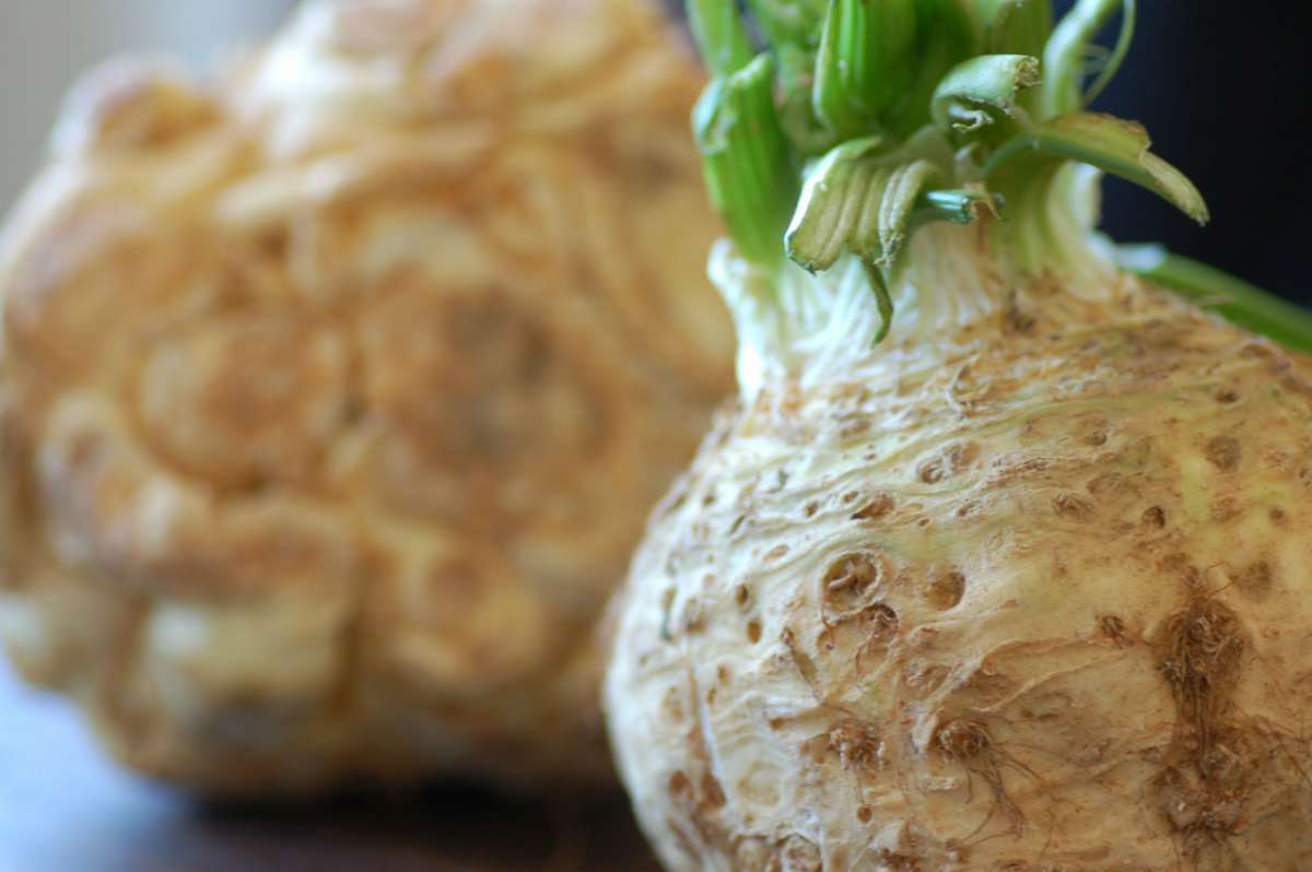 Inulina. Qué es, en qué alimentos está y para qué sirve