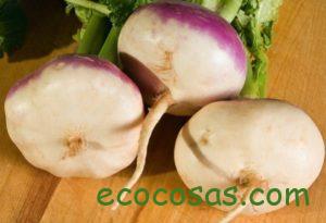 Nabo. Propiedades y beneficios de este vegetal