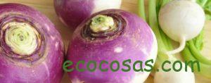 Nabo. Propiedades y beneficios de este vegetal