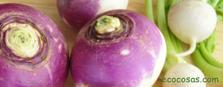 Nabo. Propiedades y beneficios de este vegetal