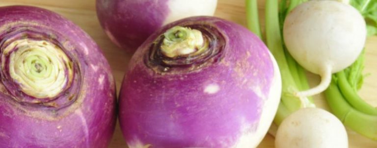 Nabo. Propiedades y beneficios de este vegetal