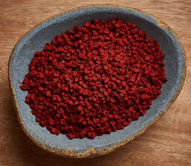 Qué es el achiote o Bixa orellana y qué propiedades tiene