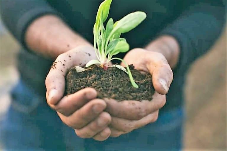10 maneras de vivir una vida sostenible - Ecocosas
