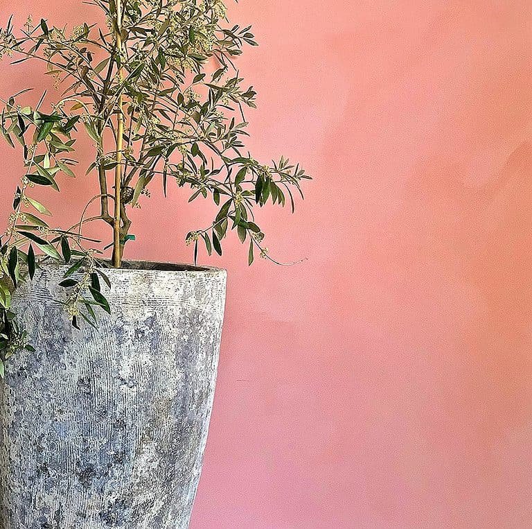 Pintura a la cal: qué es, ventajas, desventajas y más - Ecocosas