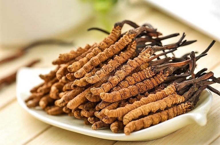 Cordyceps: El Hongo Medicinal de las Alturas y sus Beneficios para la ...